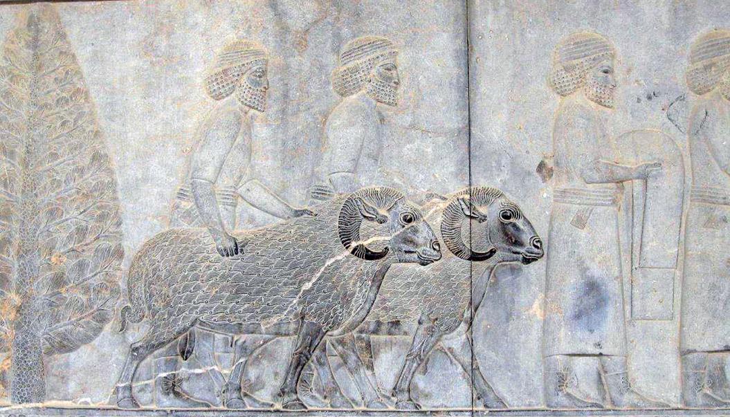 What to Look Out for When Visiting Persepolis | World Expeditions