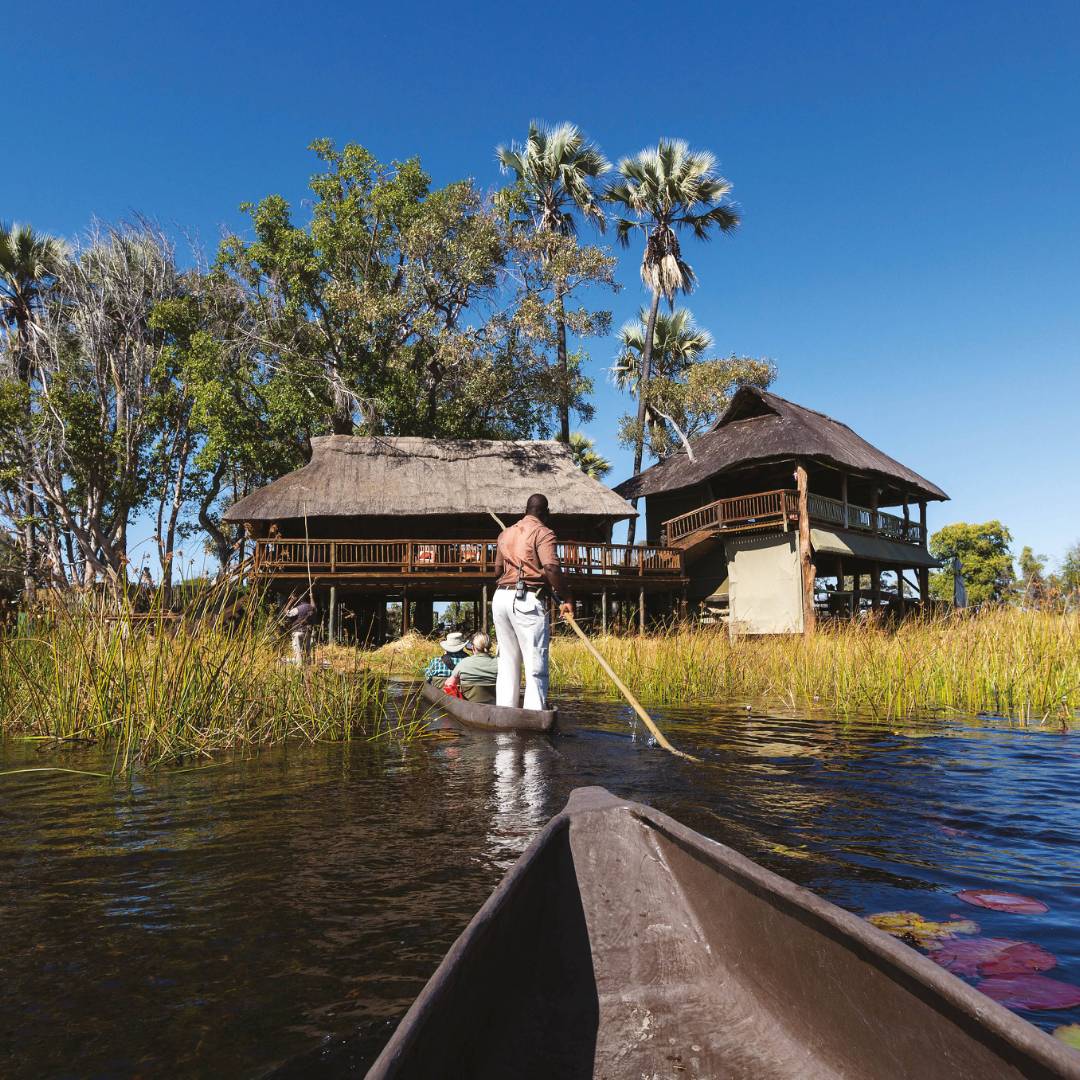 Southern African Wildlife Adventure | South Africa, Namibia, Botswana ...