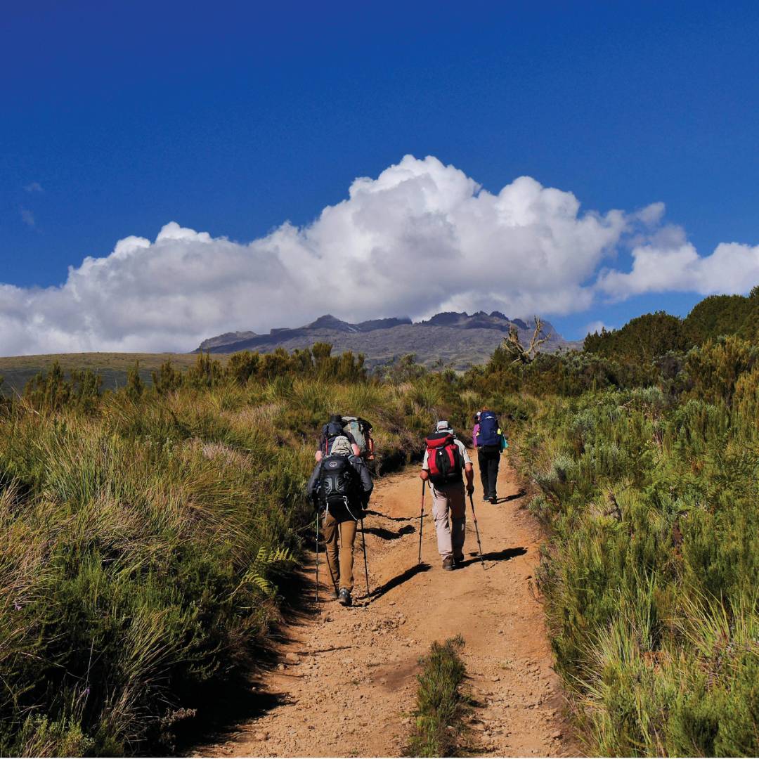 Climb Mount Kenya | Mt Kenya Trekking Adventure | World Expeditions