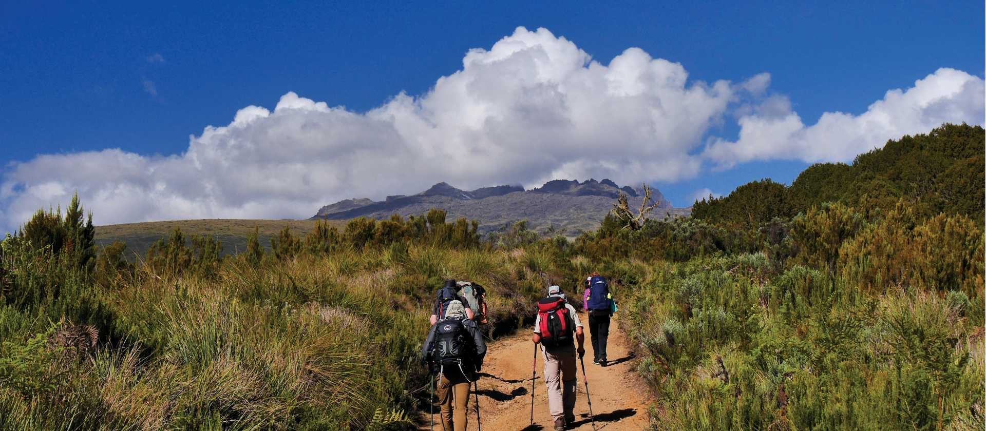 Climb Mount Kenya | Mt Kenya Trekking Adventure | World Expeditions