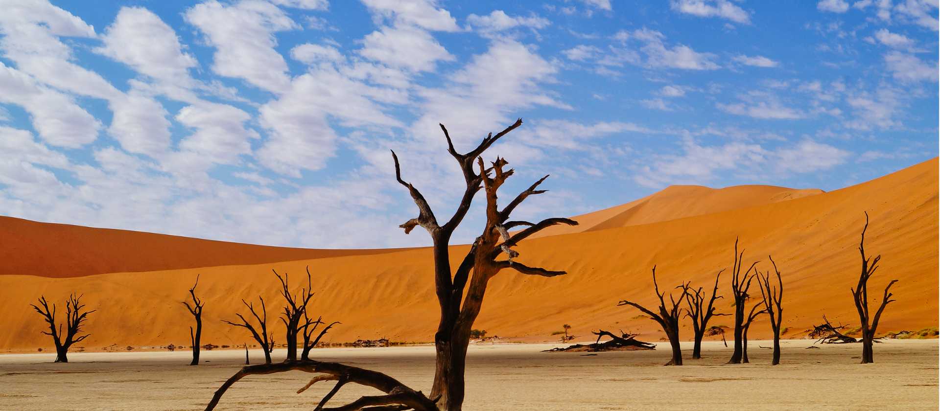 Cape to Namibia Explorer