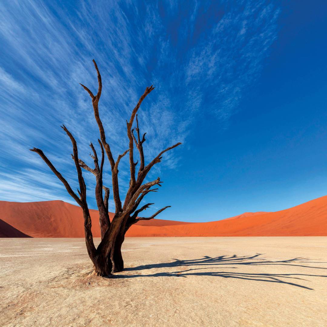 Southern African Desert Rivers & Wildlife Adventure Tour | World ...