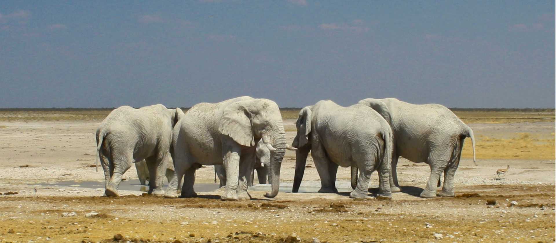 Cape to Namibia Explorer