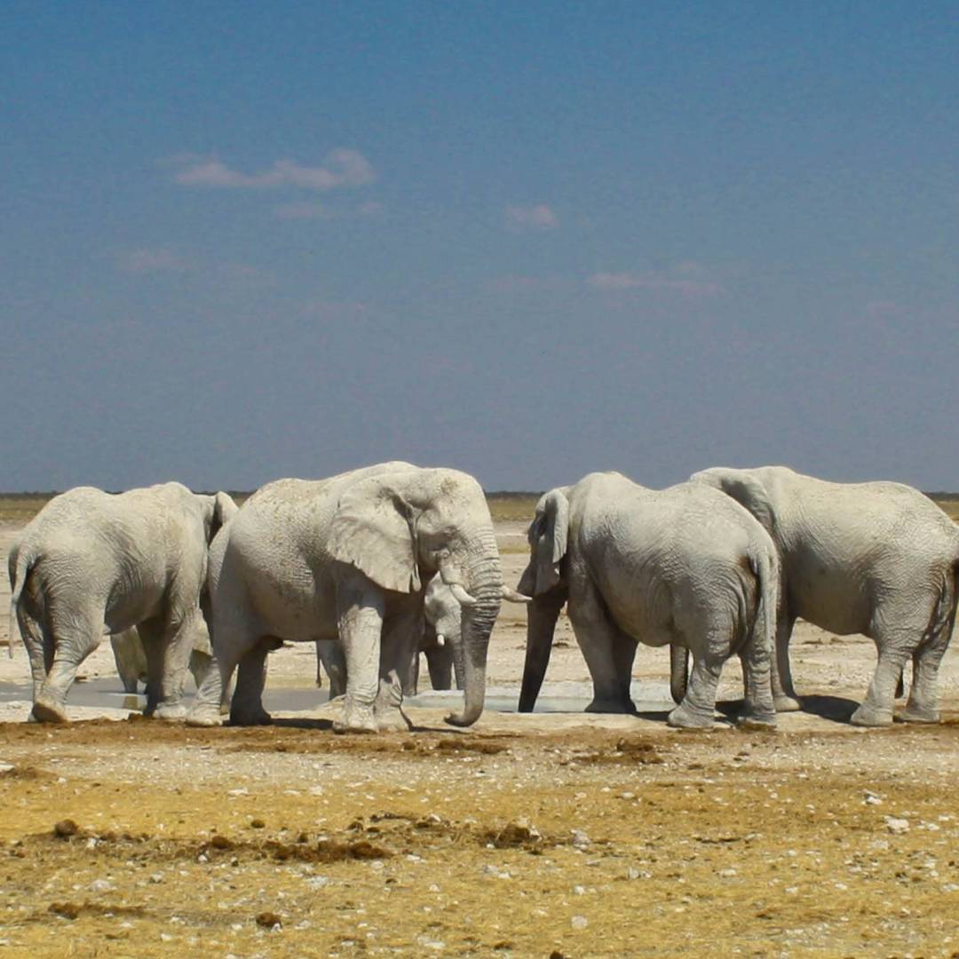 Cape to Namibia Explorer