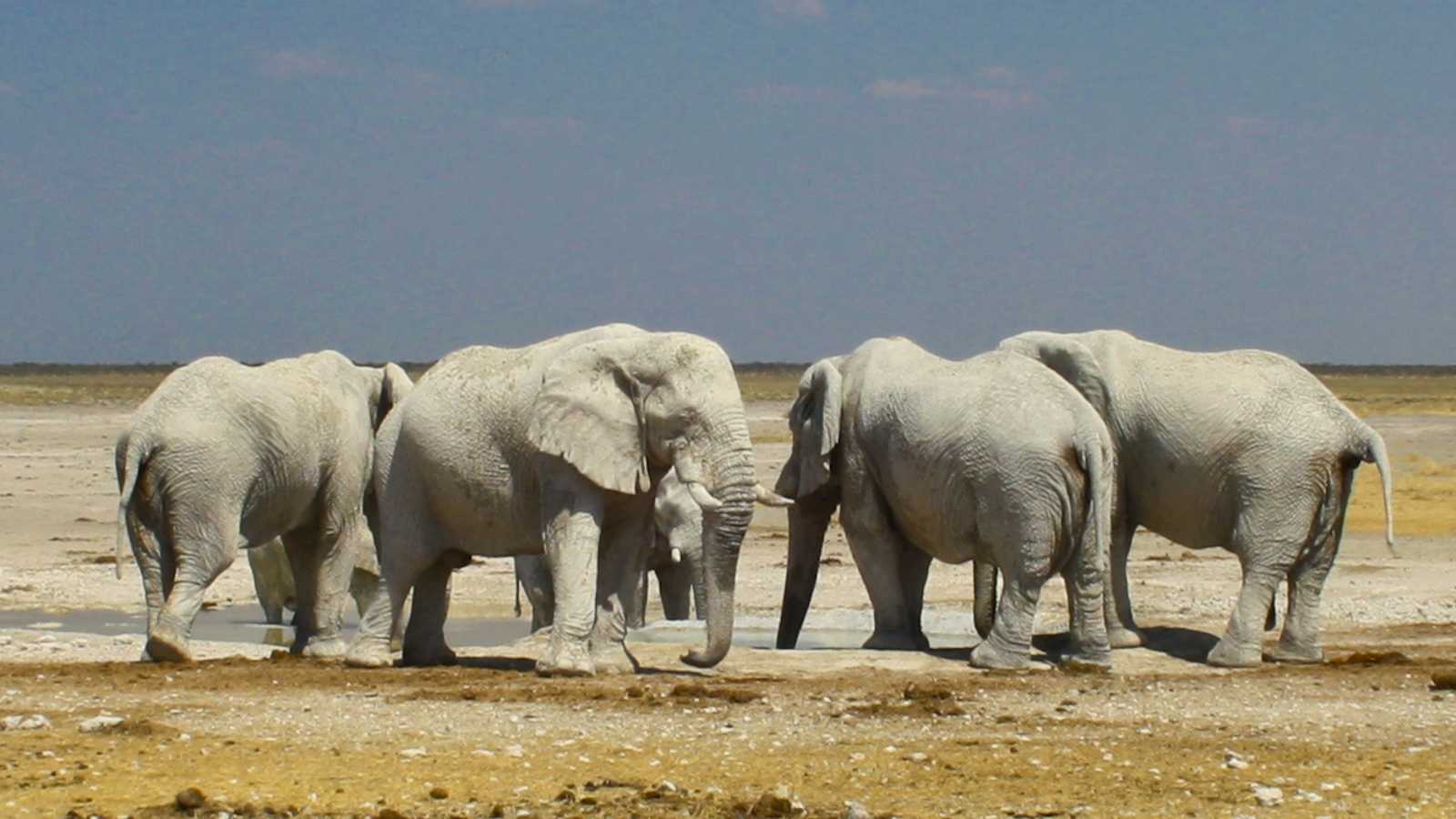 Namibia and Botswana Explorer