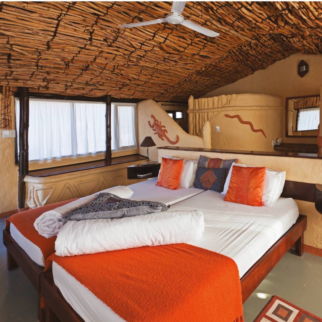 Southern African Wildlife Adventure | South Africa, Namibia, Botswana ...