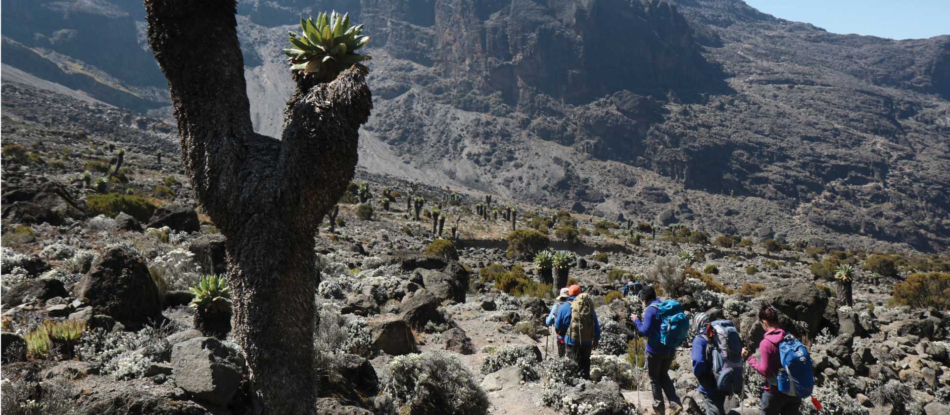 Kilimanjaro - Machame Route Trek | Kilimanjaro Trekking Tours | World ...