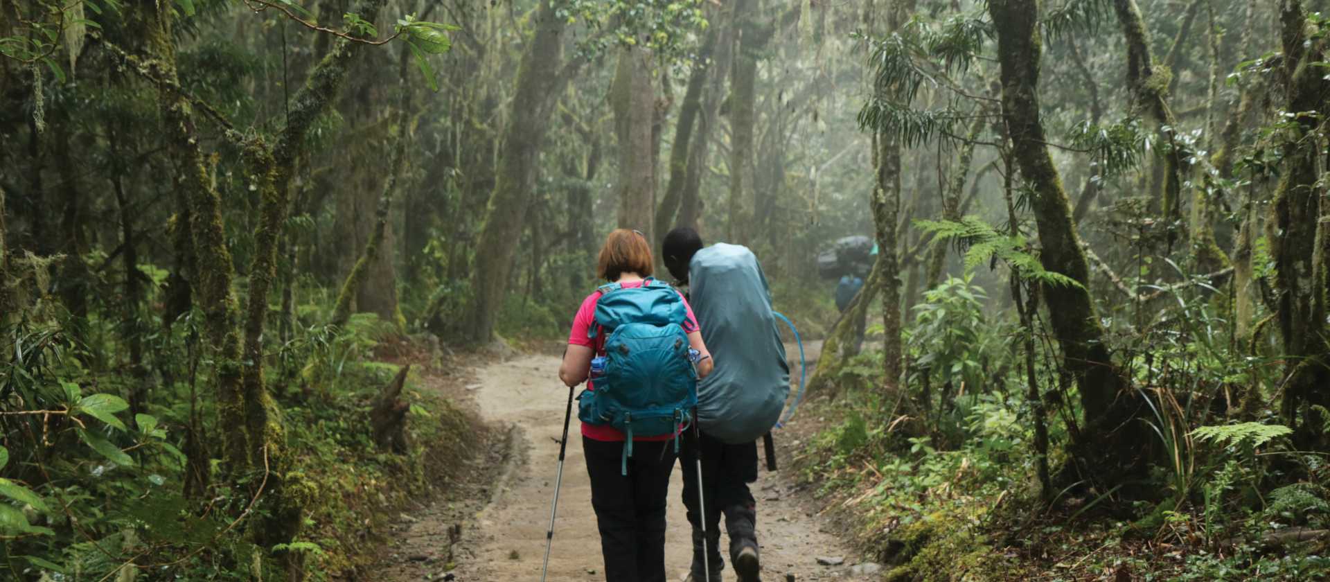 Kilimanjaro - Lemosho Route Trek | Kilimanjaro Climbs & Tours | World ...