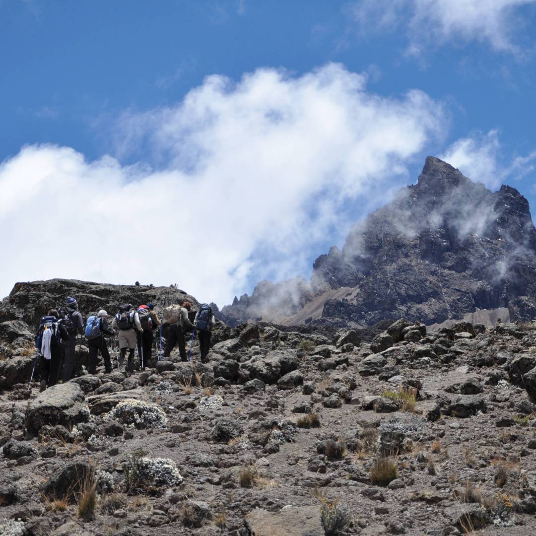 Kilimanjaro - Rongai Route Trek | Kili Climbs & Adventures | World ...
