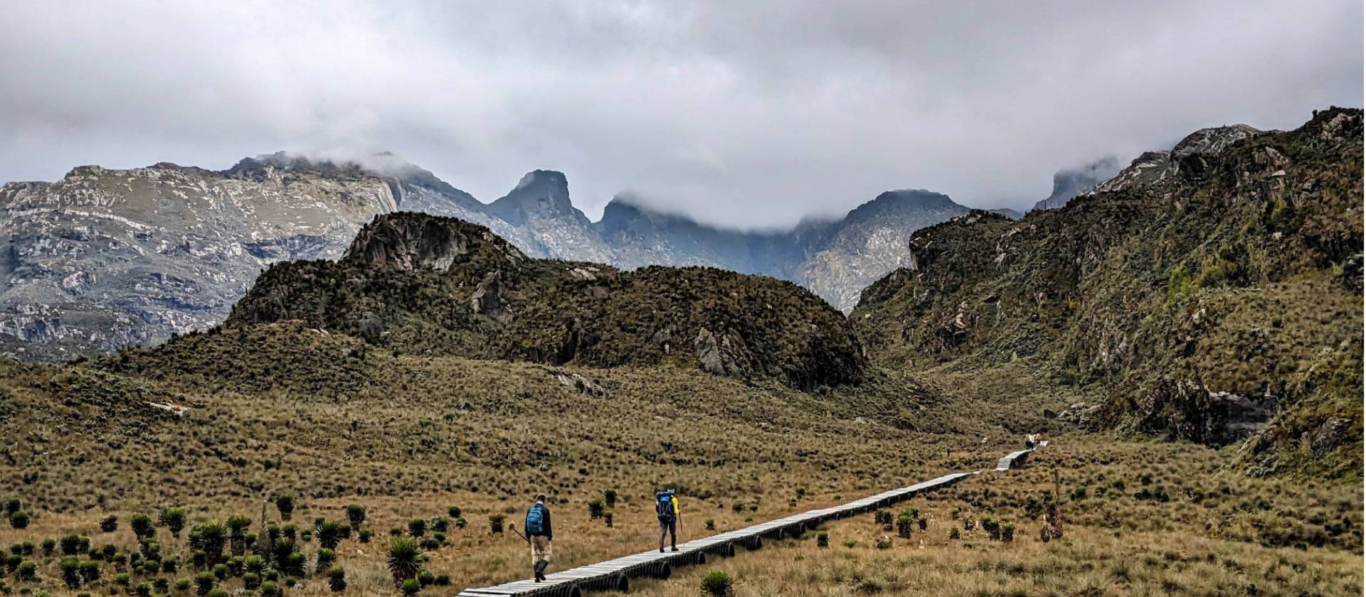 Rwenzori Weismann's Peak Trek