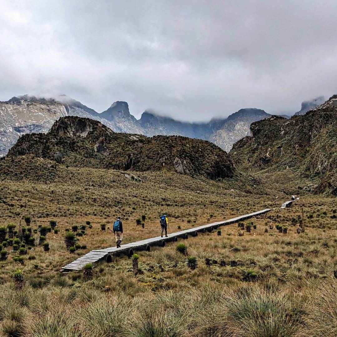 Rwenzori Weismann's Peak Trek