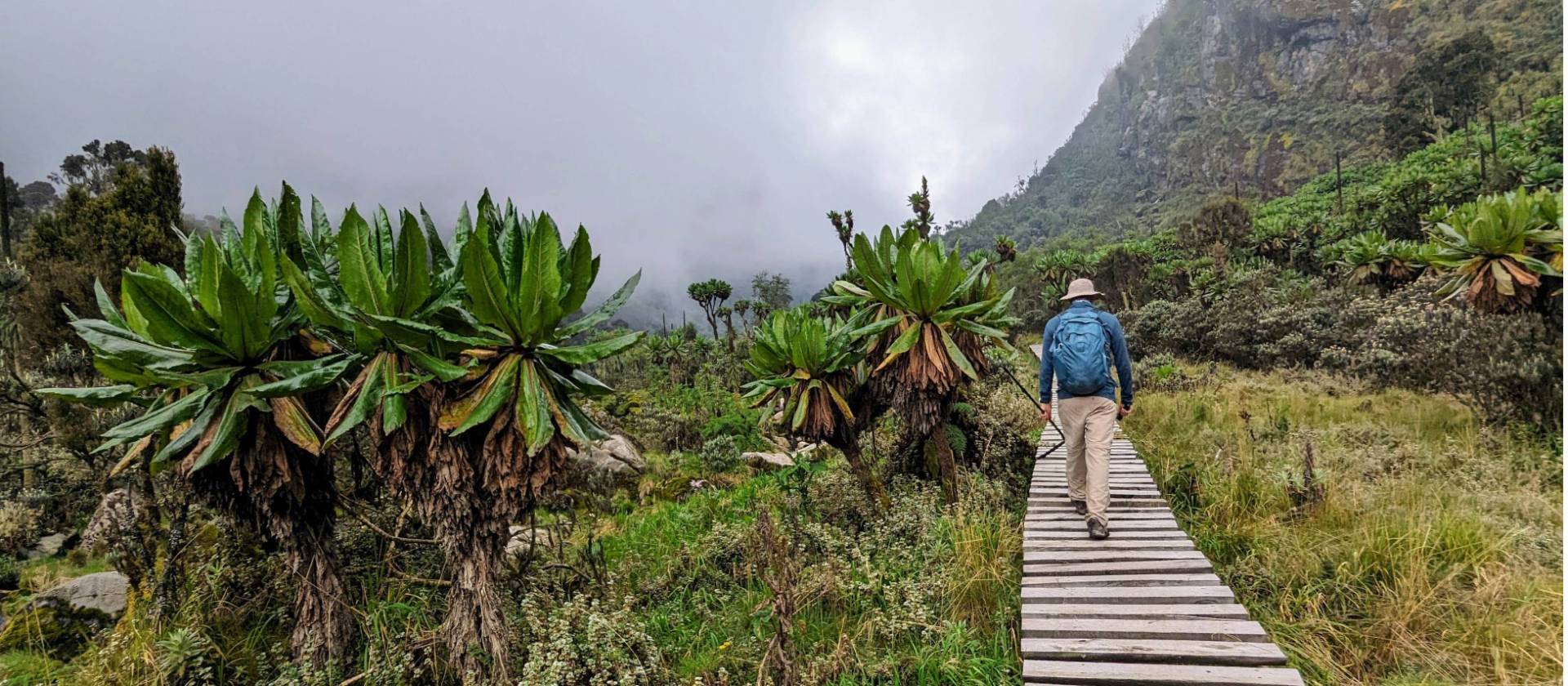 Rwenzori Weismann's Peak Trek