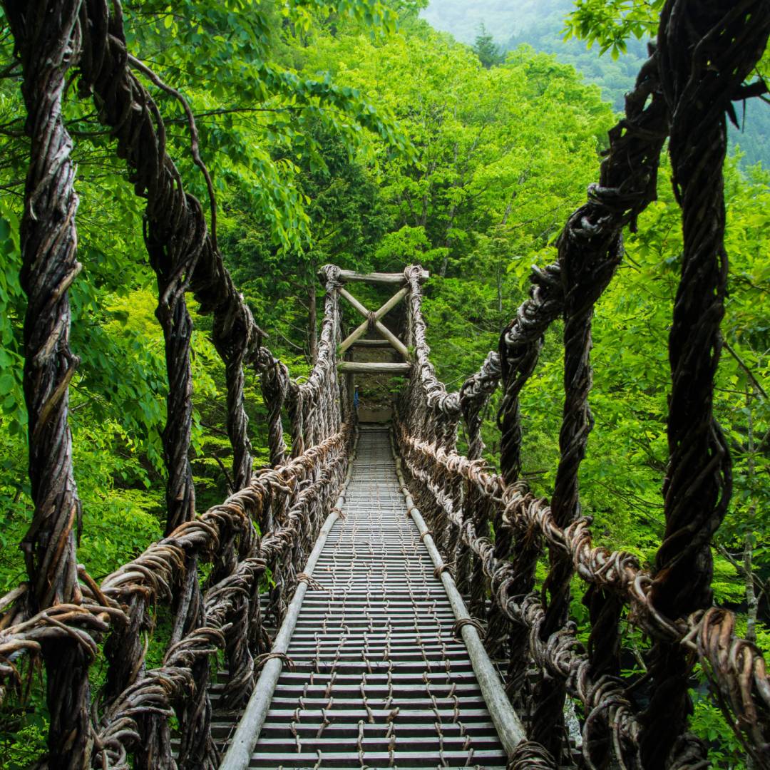 Shikoku Self-Guided Pilgrim Hike | Japan Walking Tours