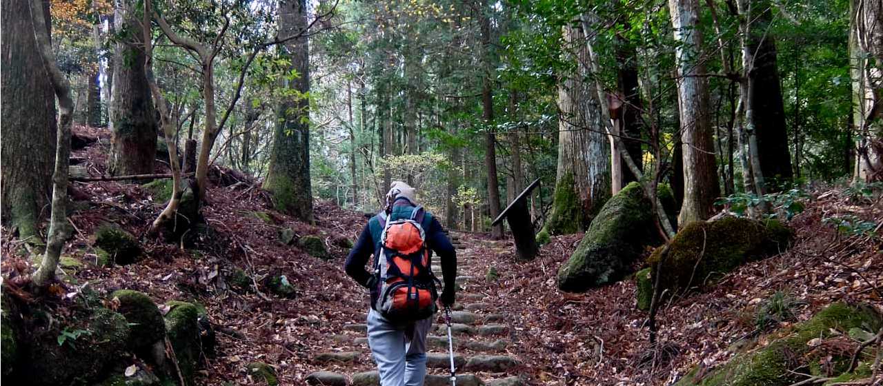 Hakone Hachiri Trail Guided Hiking Tour in Japan