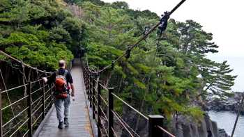 Hakone Hachiri Trail Guided Hiking Tour in Japan