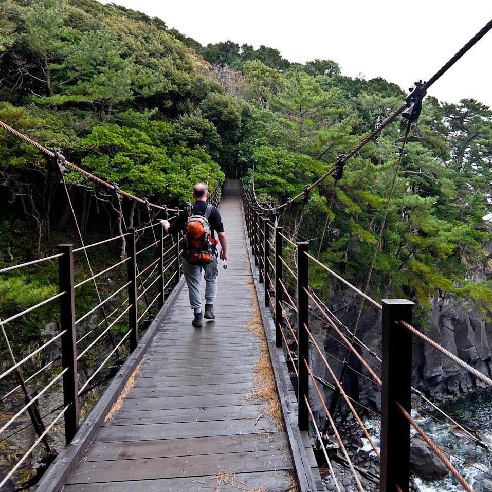 Hakone Hachiri Trail Guided Hiking Tour in Japan