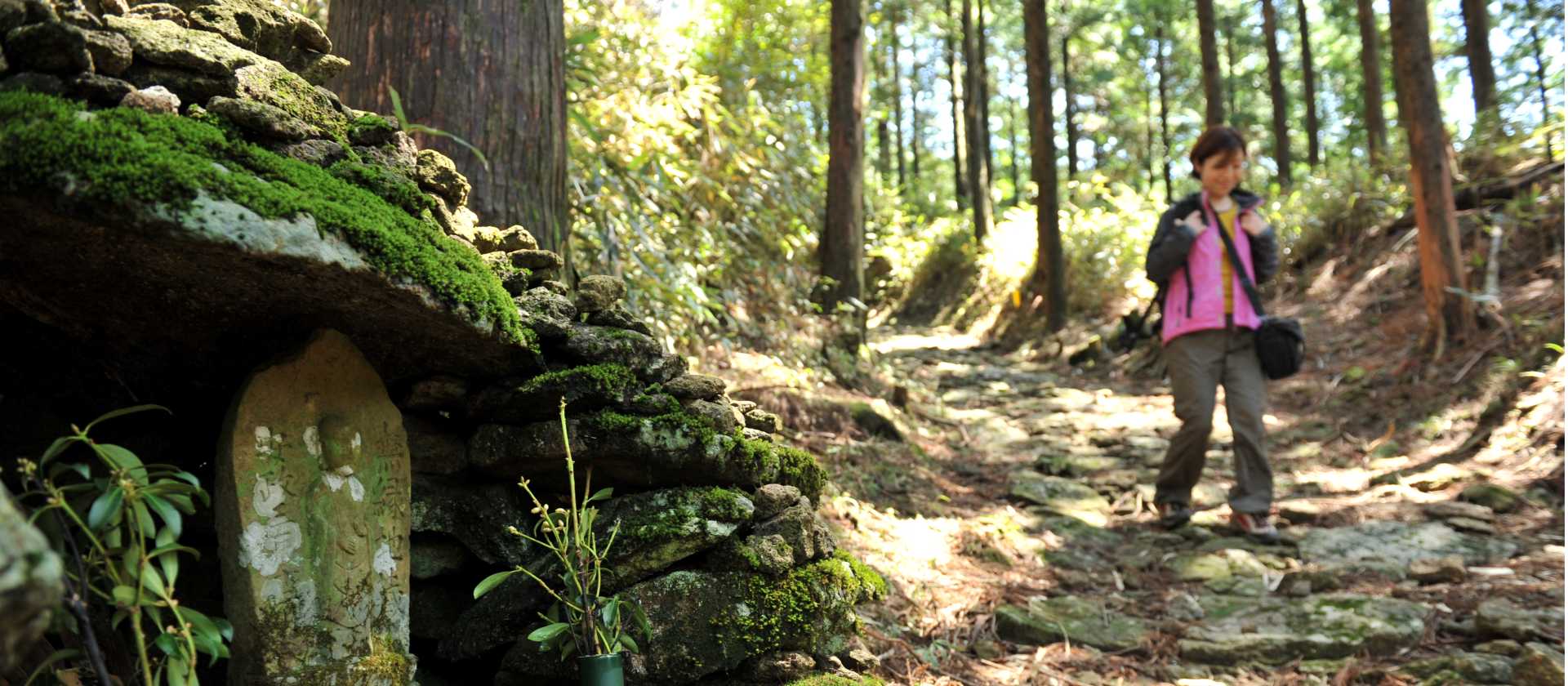 Kumano Kodo Self-Guided Hike Japan | Japan Adventure Travel | World Expeditions