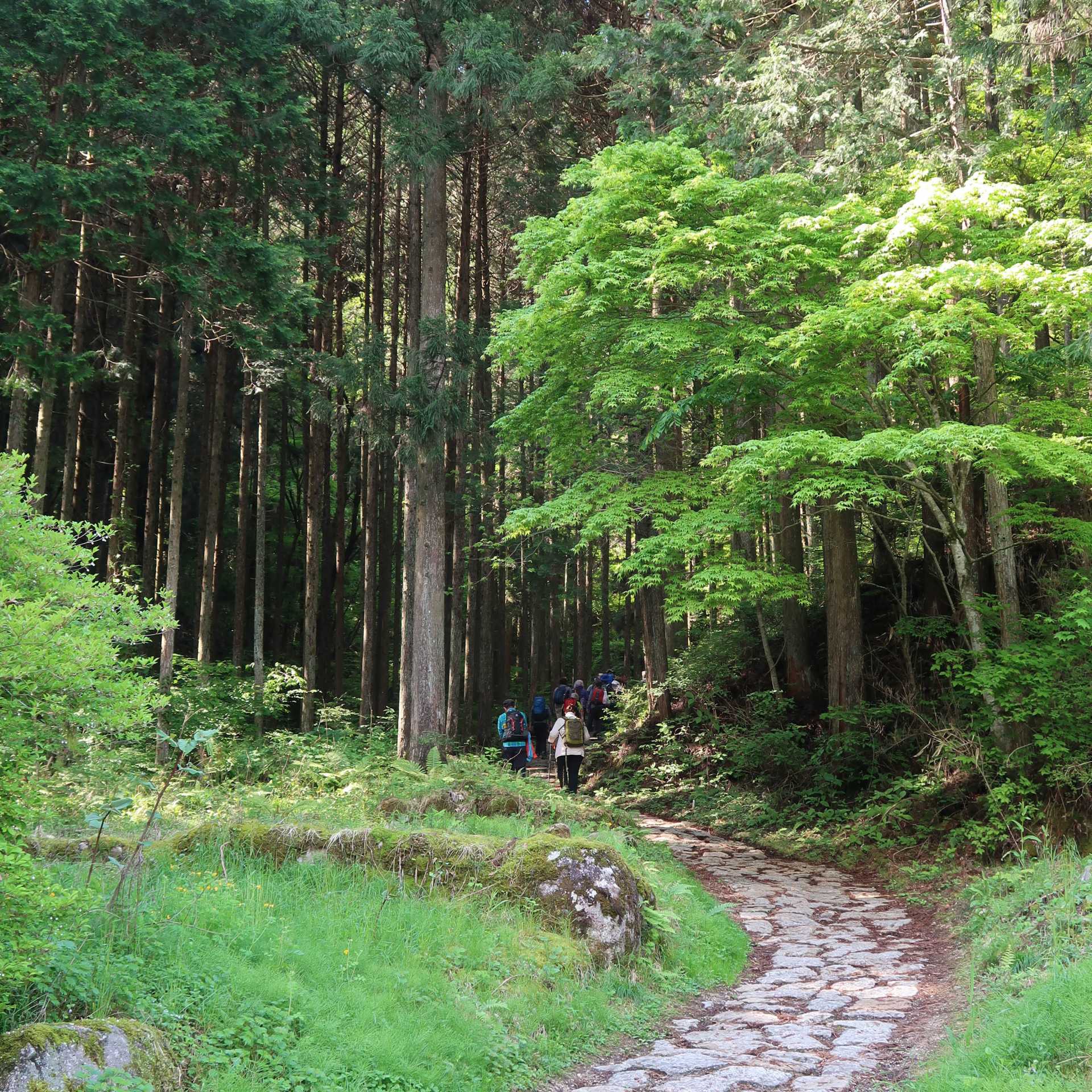 Nakasendo Way Self Guided Walking Trip | Japan Walking Tours | World ...