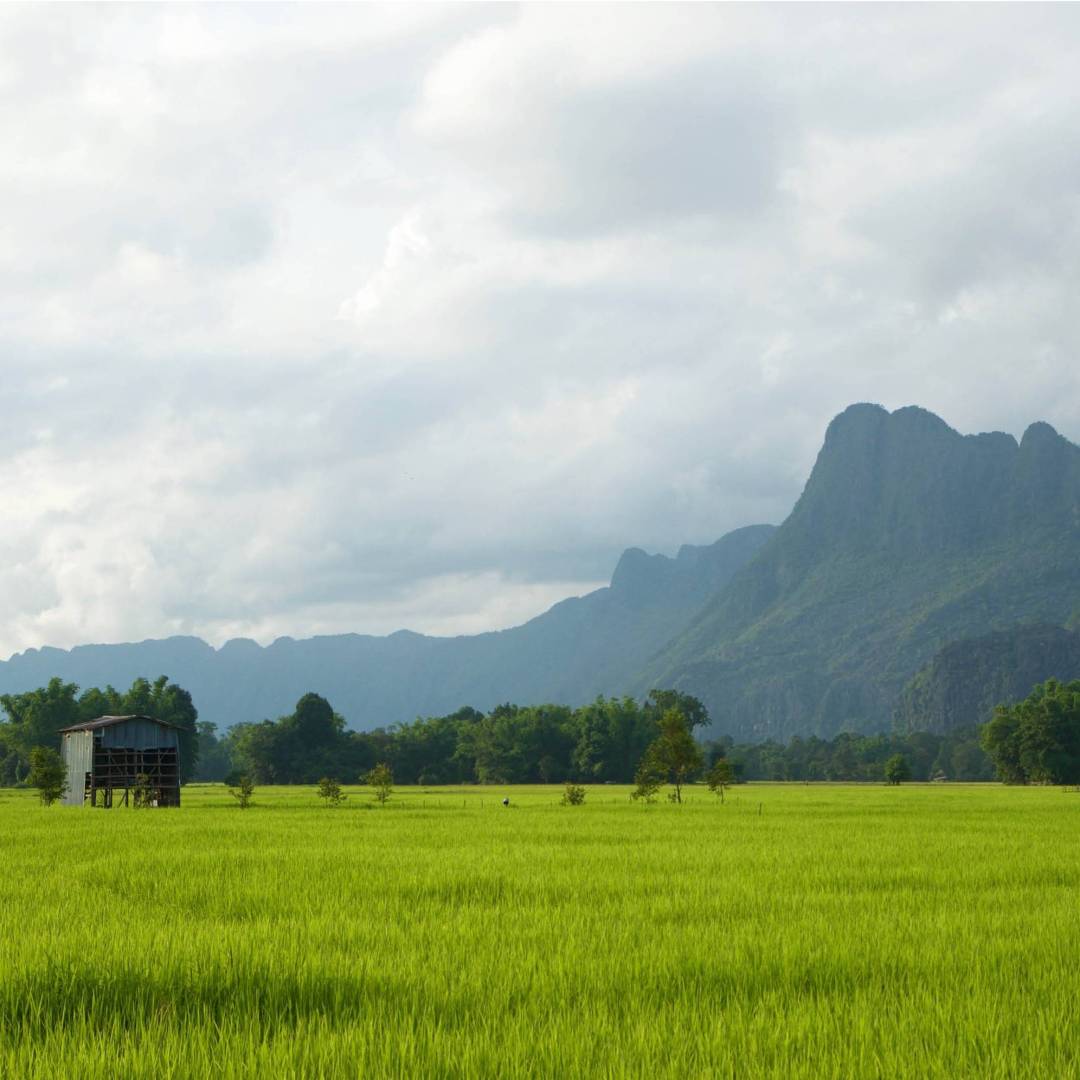Northern Laos Hike & Homestays Adventure Tour | Laos Travel | World ...
