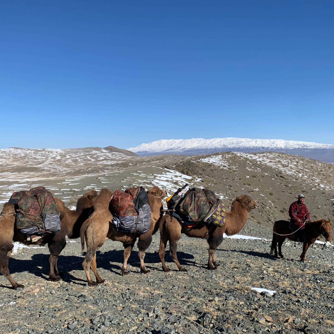 Tim Cope, Mounted Nomads of Western Mongolia Tour | Mongolia Travel ...
