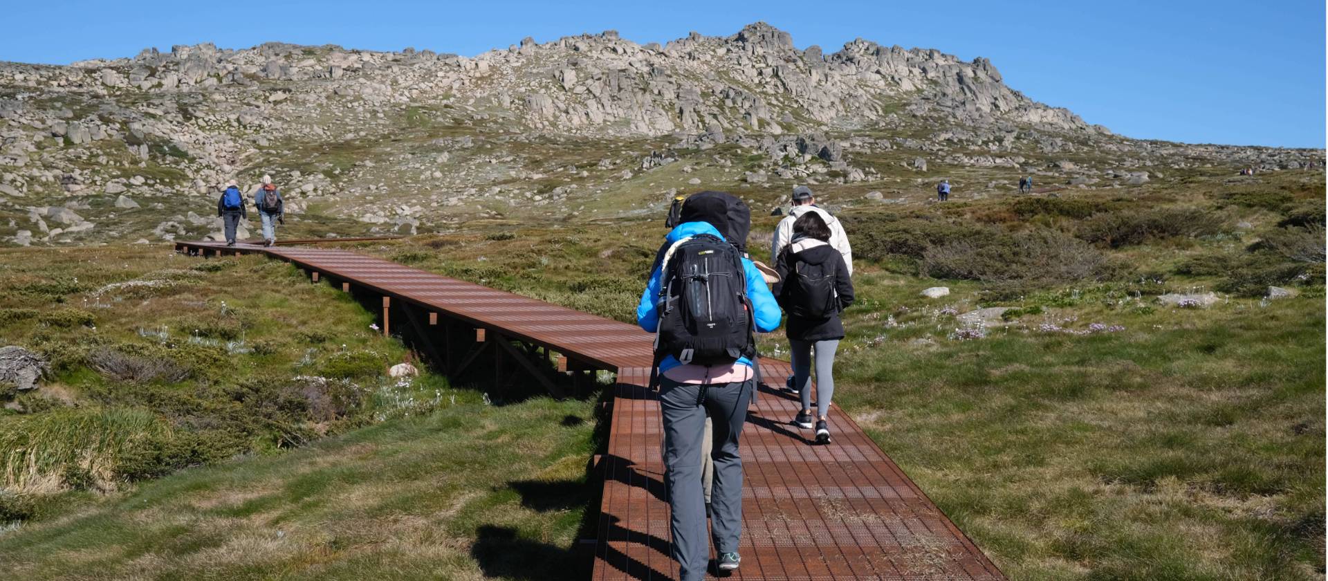Snowies Alpine Guided Walk | Hike Mt Kosciuszko NSW