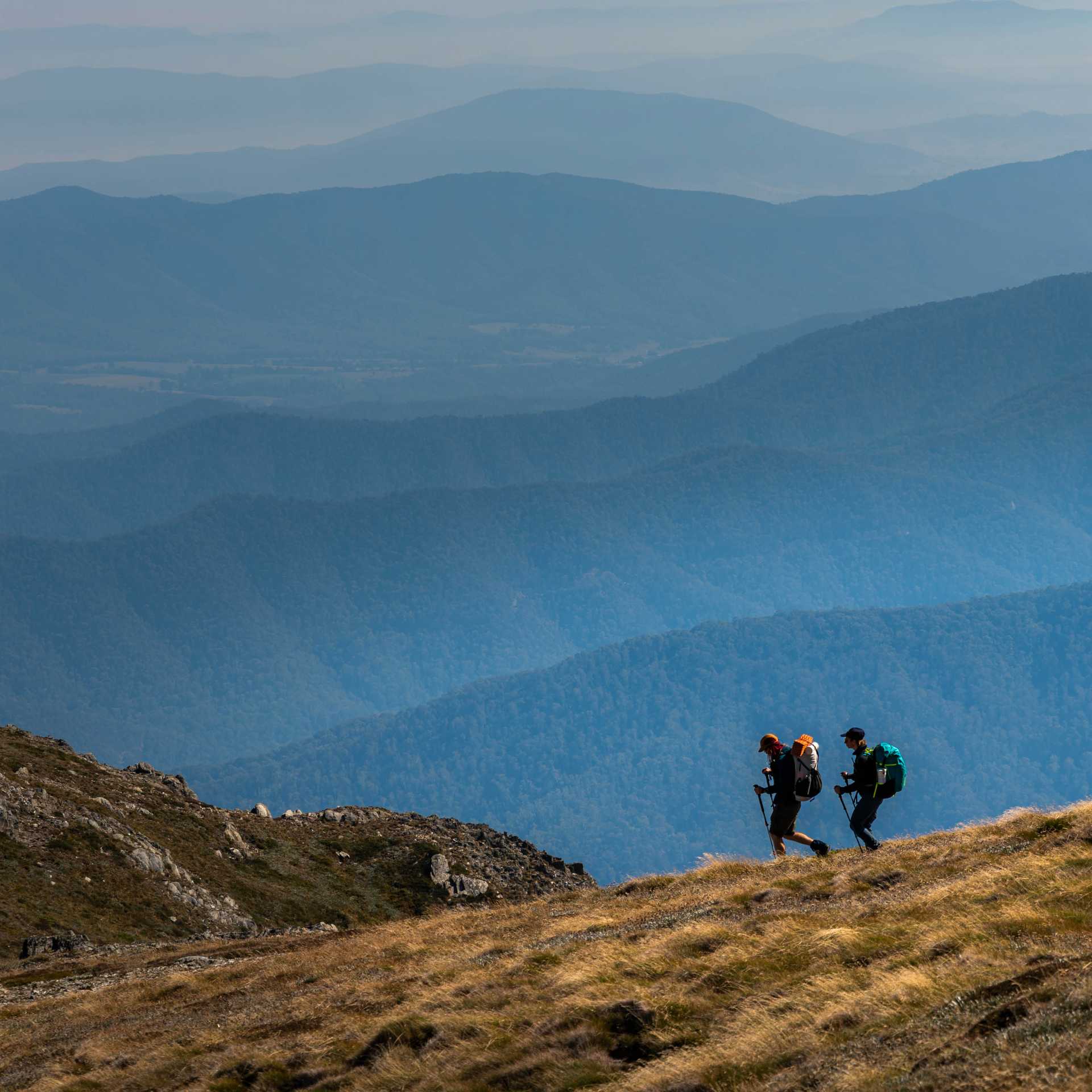 Snowies Alpine Guided Walk | Hike Mt Kosciuszko NSW
