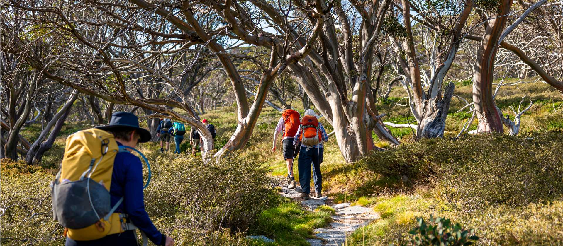 Snowies Alpine Guided Walk | Hike Mt Kosciuszko NSW