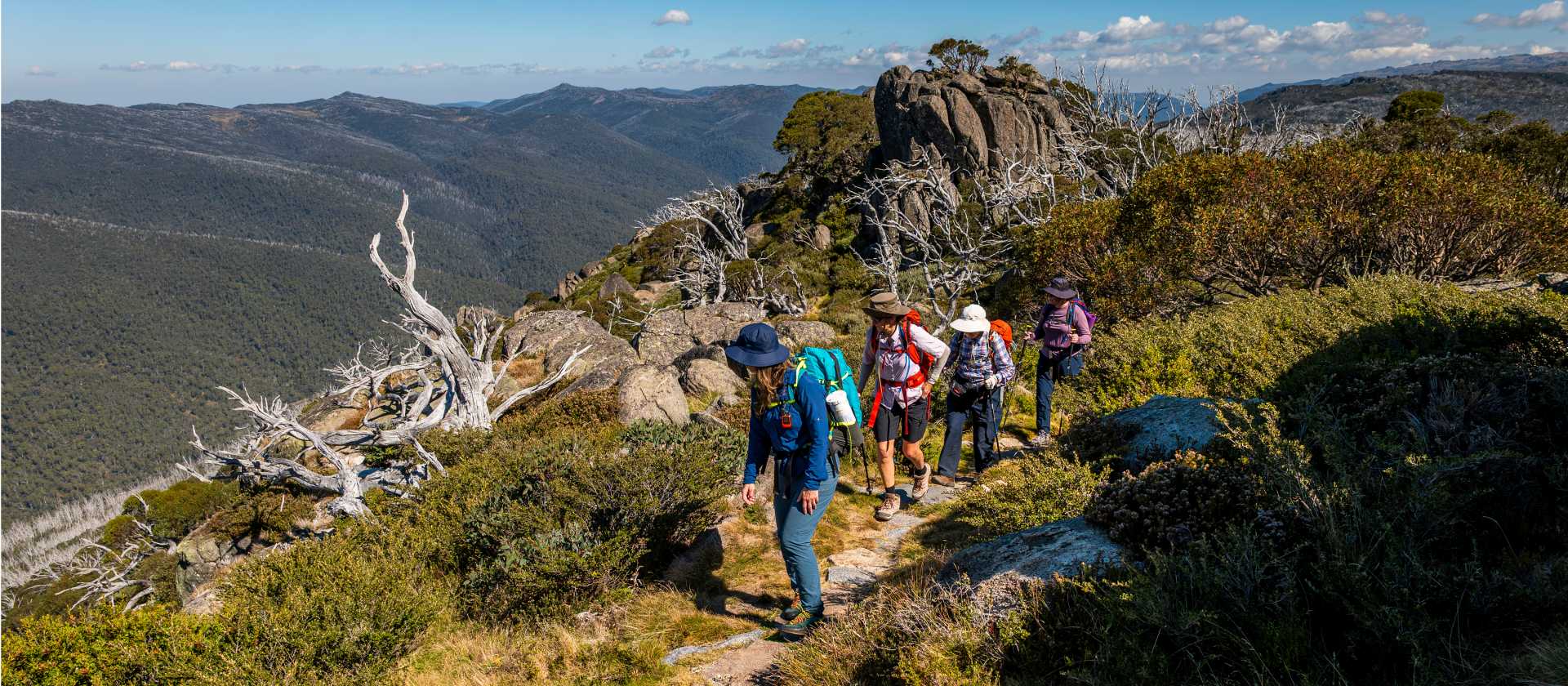 Snowies Alpine Guided Walk | Hike Mt Kosciuszko NSW
