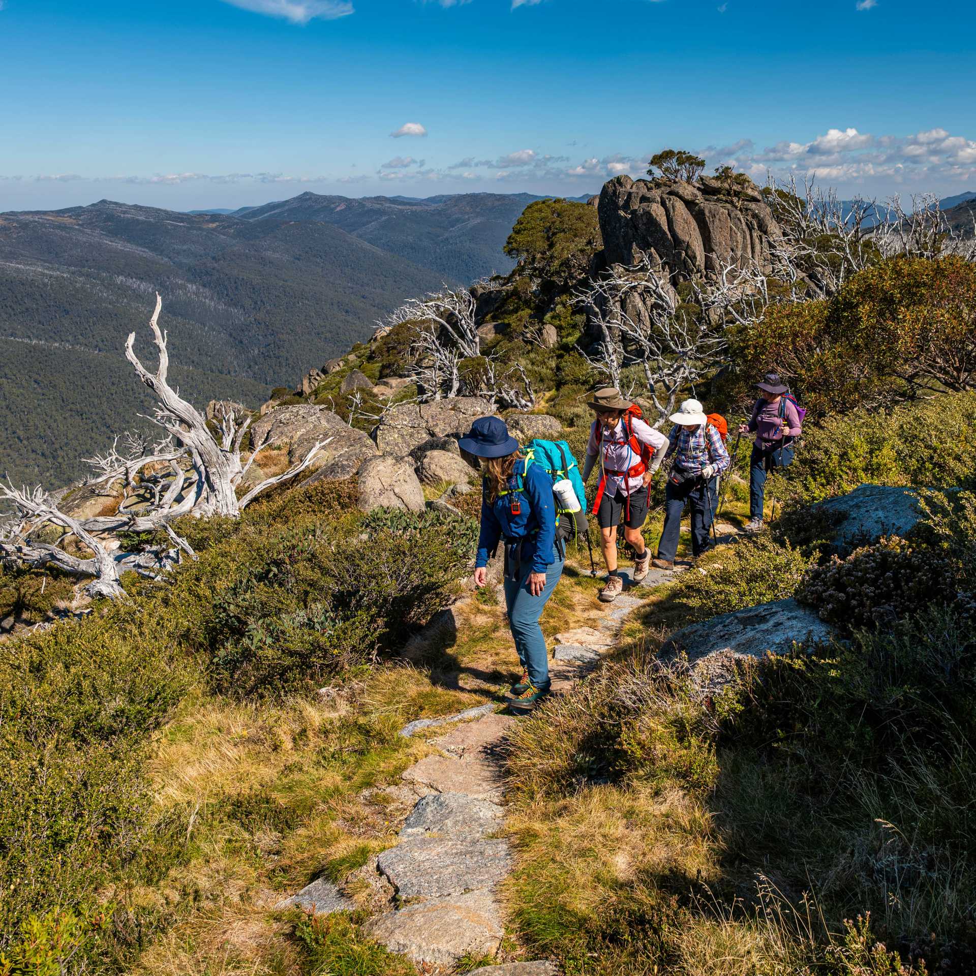 Snowies Alpine Guided Walk | Hike Mt Kosciuszko NSW