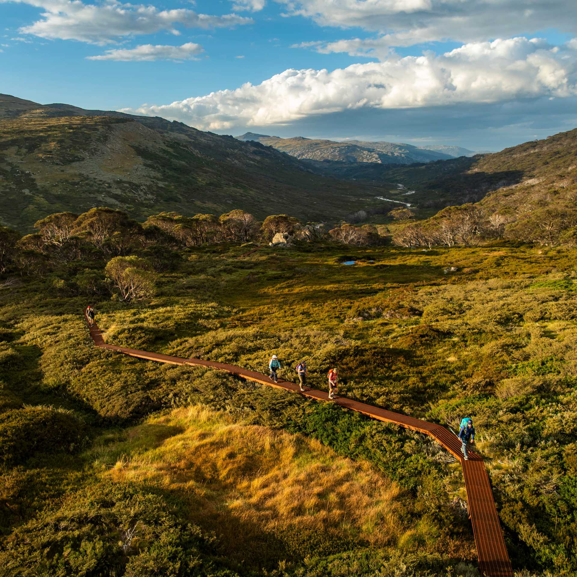 Snowies Alpine Guided Walk | Hike Mt Kosciuszko NSW