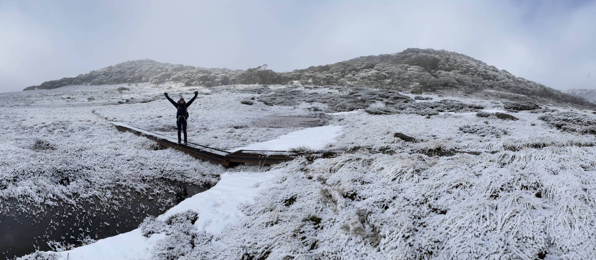 Snowies Alpine Guided Walk | Hike Mt Kosciuszko NSW