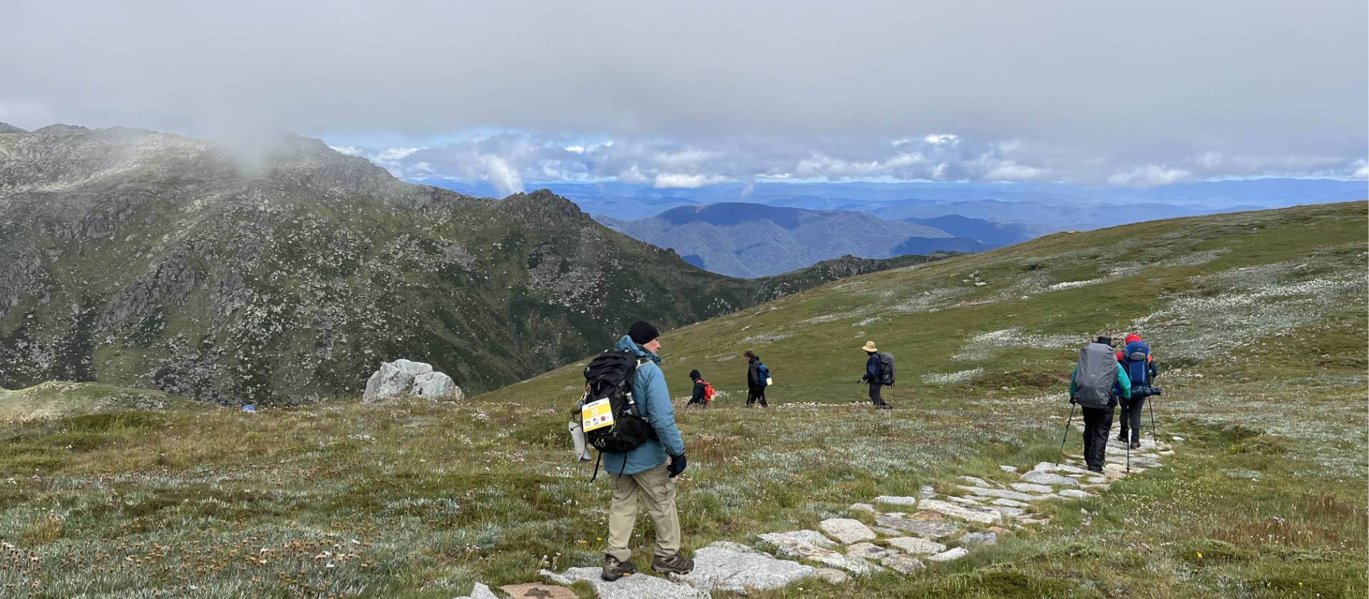 Snowies Alpine Guided Walk | Hike Mt Kosciuszko NSW