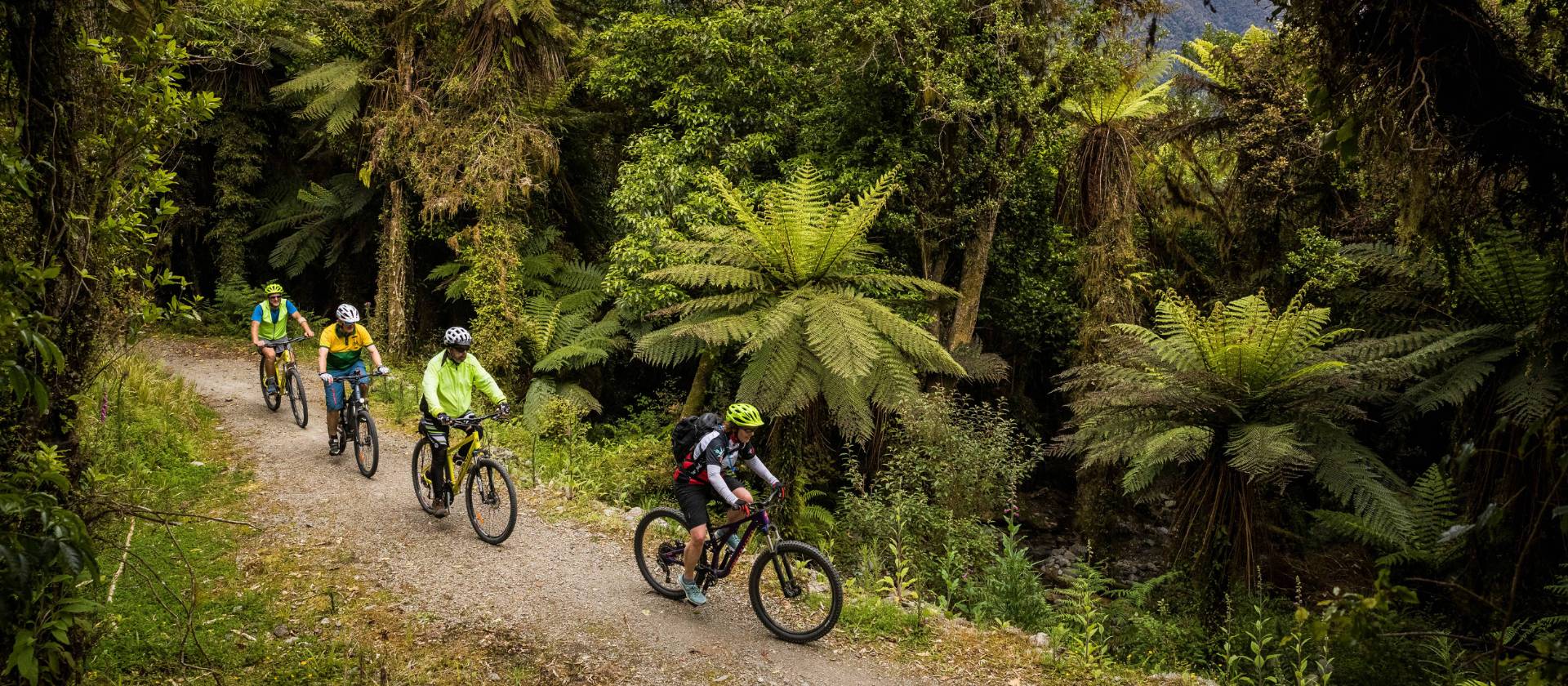 West Coast Wilderness Cycle Trail Guided Trip NZ