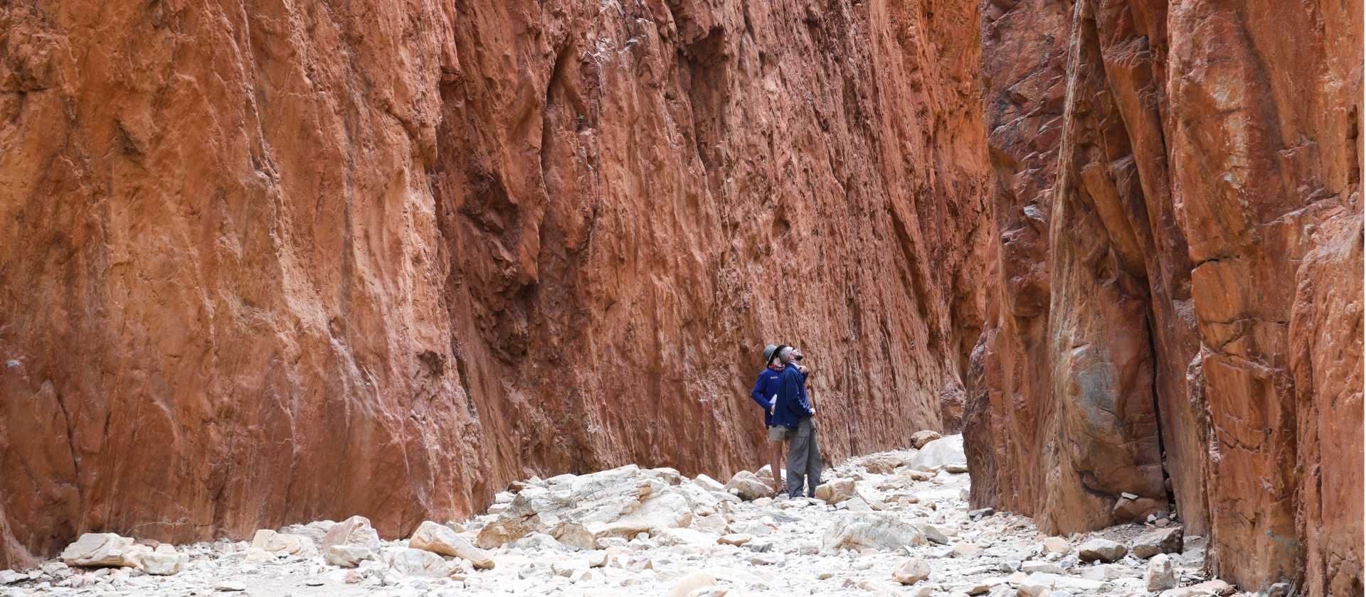 Larapinta 5 Day Highlights Trek | Hike the Best Sections On Larapinta Trail