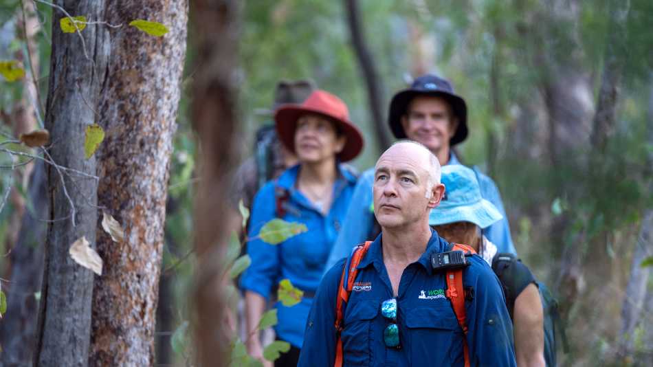 Litchfield Tabletop Guided Trek | Top End Walking Trips