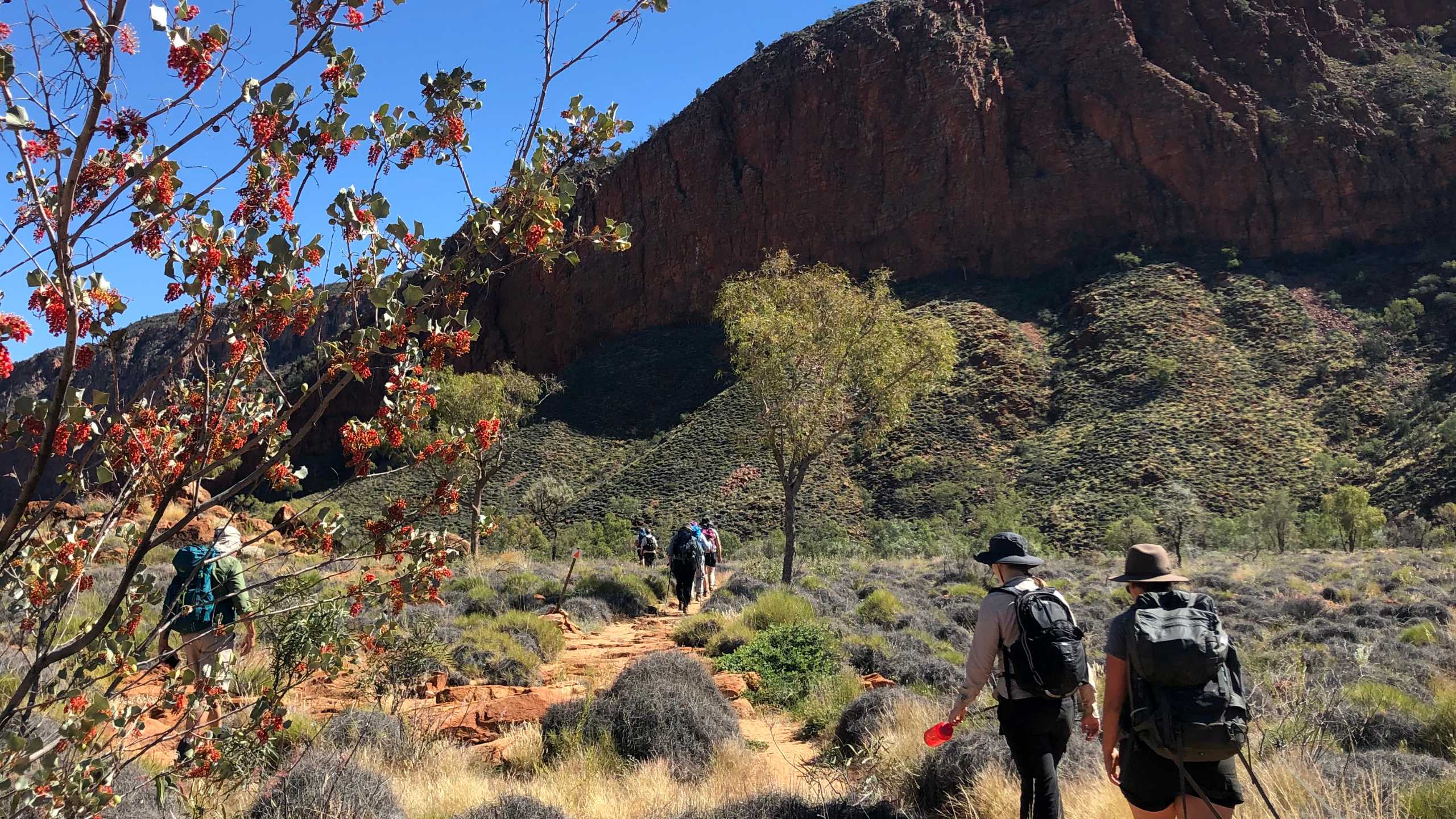 Classic Larapinta Trail Guided Walking Tour | Hike the Larapinta in Comfort