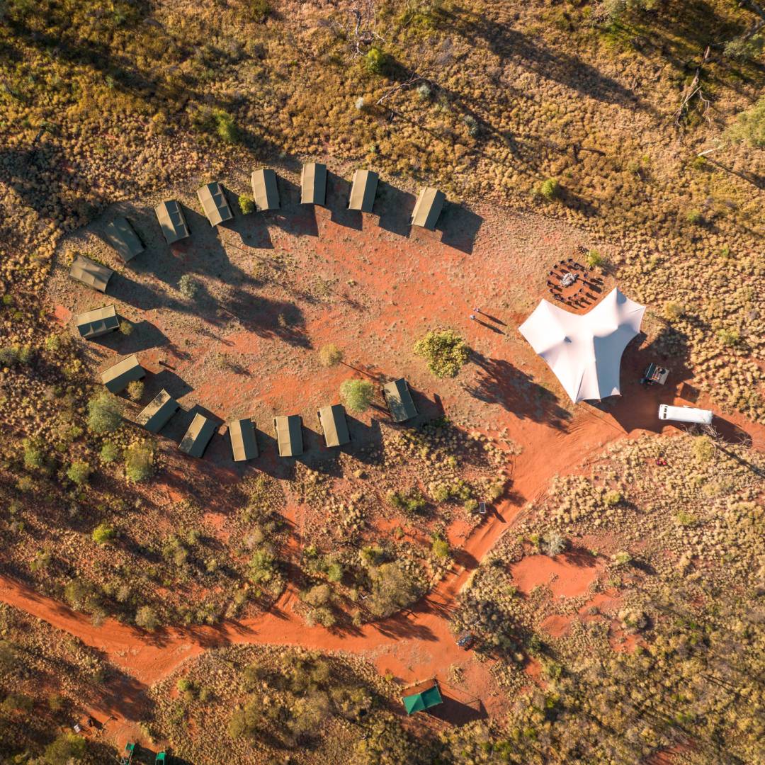 Larapinta with Suzan Muir: Strength, Stories, and Survival