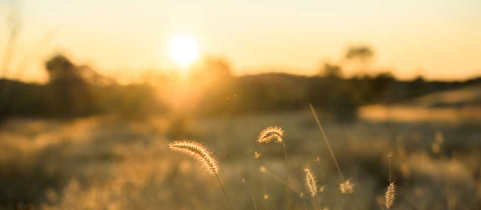 Larapinta with Suzan Muir: Strength, Stories, and Survival