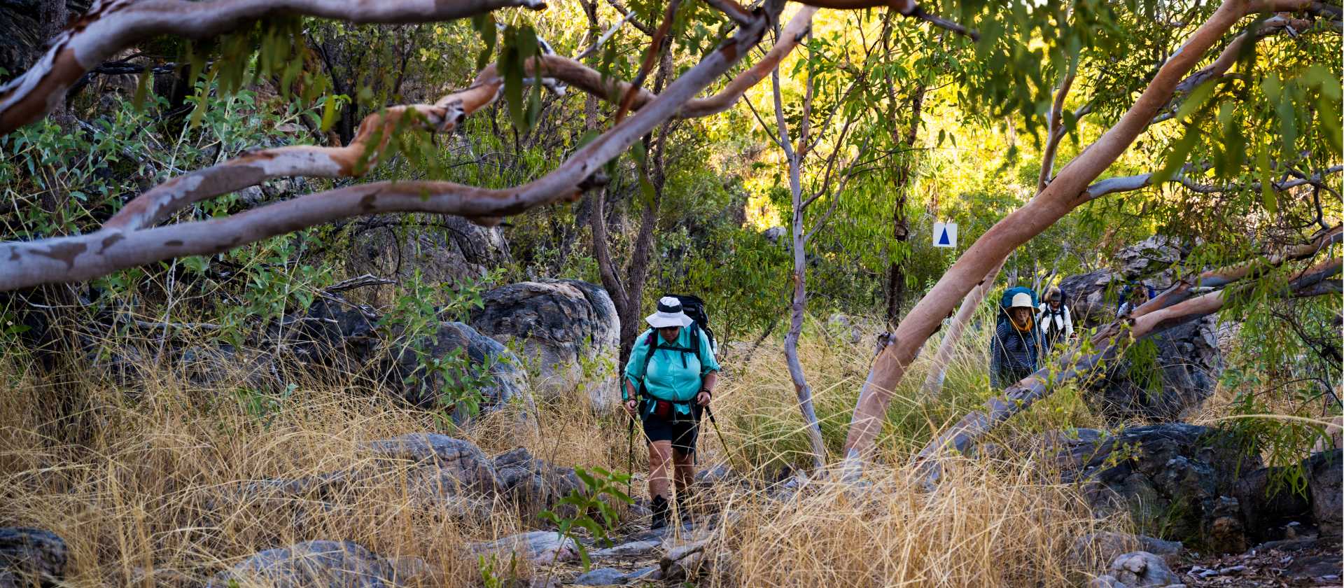Jatbula Trail Guided Trek Northern Territory | Best Top End Walking Trips