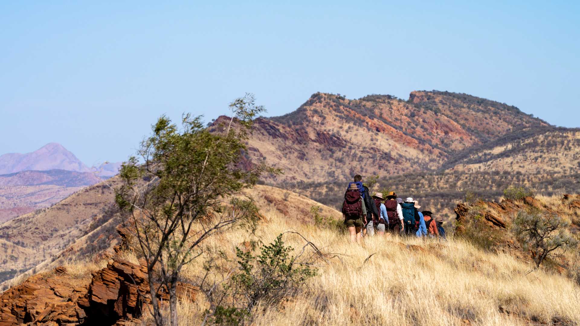 Larapinta 5 Day Highlights Trek | Hike the Best Sections On Larapinta Trail