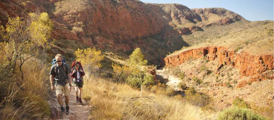 Larapinta Trail Self-Guided 14 Day Trek | Ultimate Larapinta Trail Self ...
