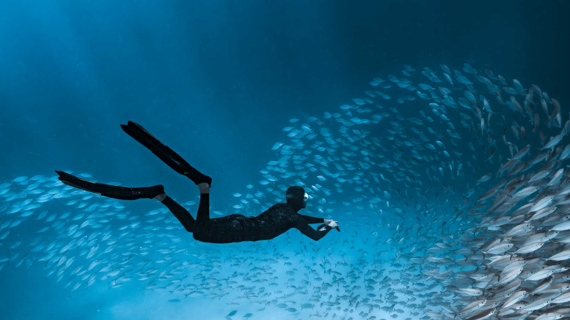 Palau Kayak Expedition | Active Kayaking Adventure | World Expeditions