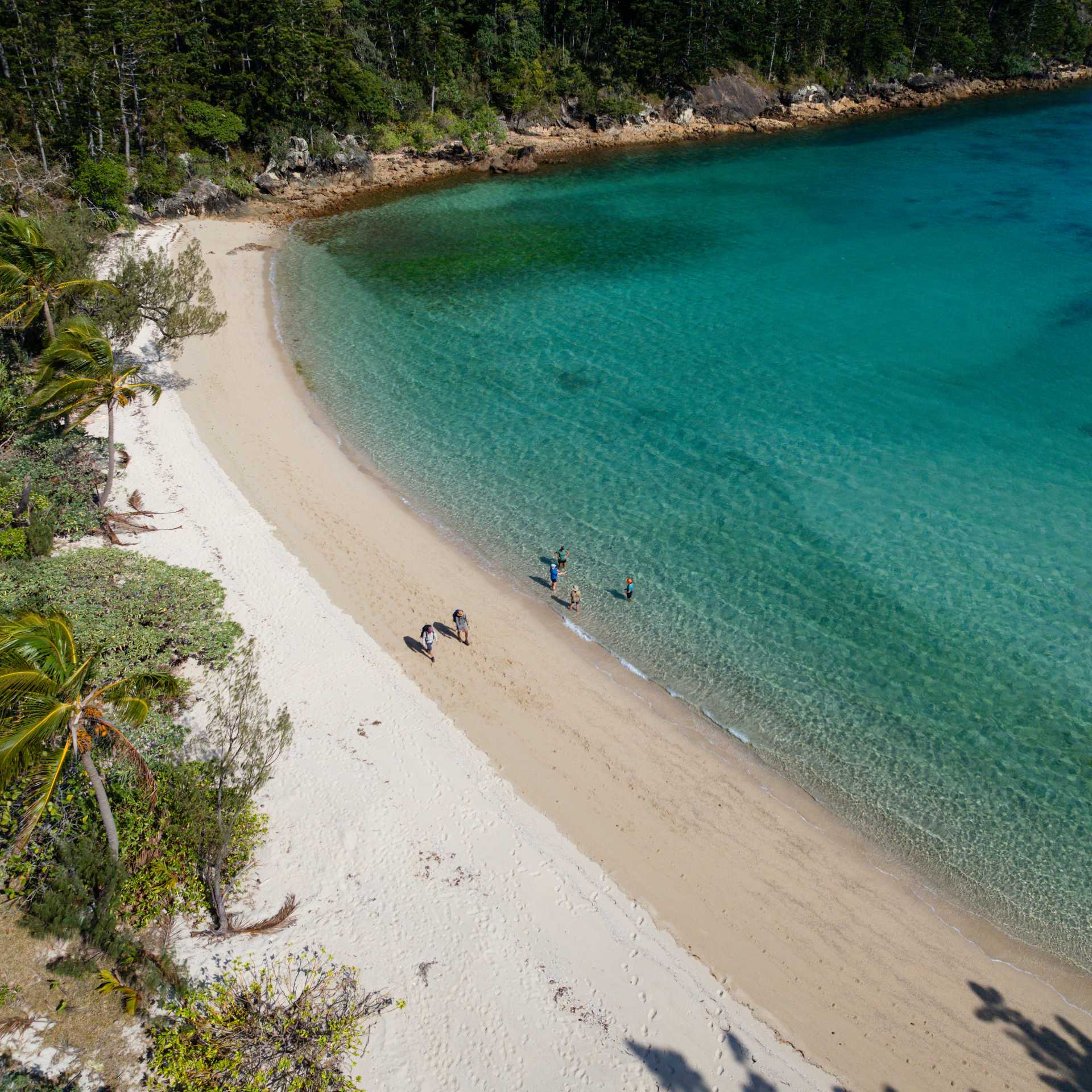 Ngaro Track Walk In Comfort