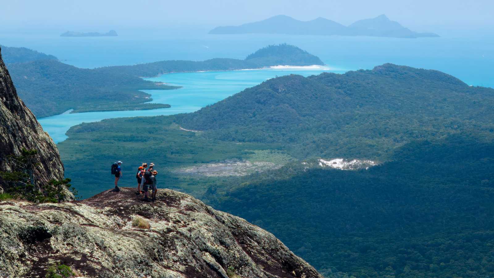 Ngaro Track Full Pack Guided Hike