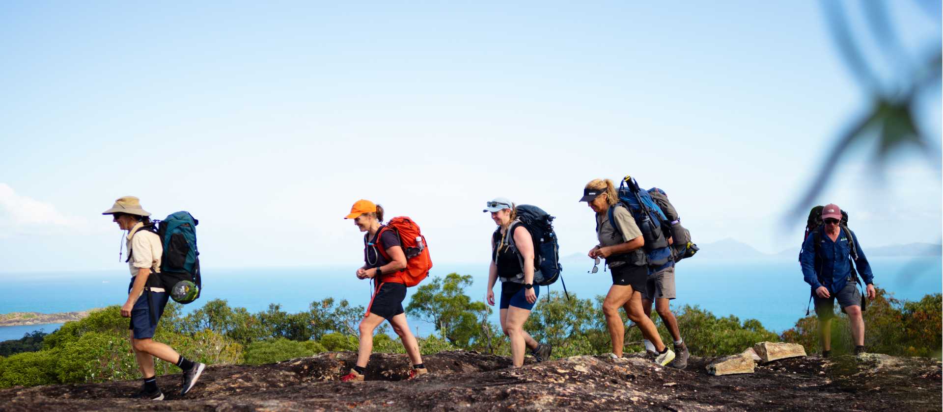 Ngaro Track Full Pack Guided Hike