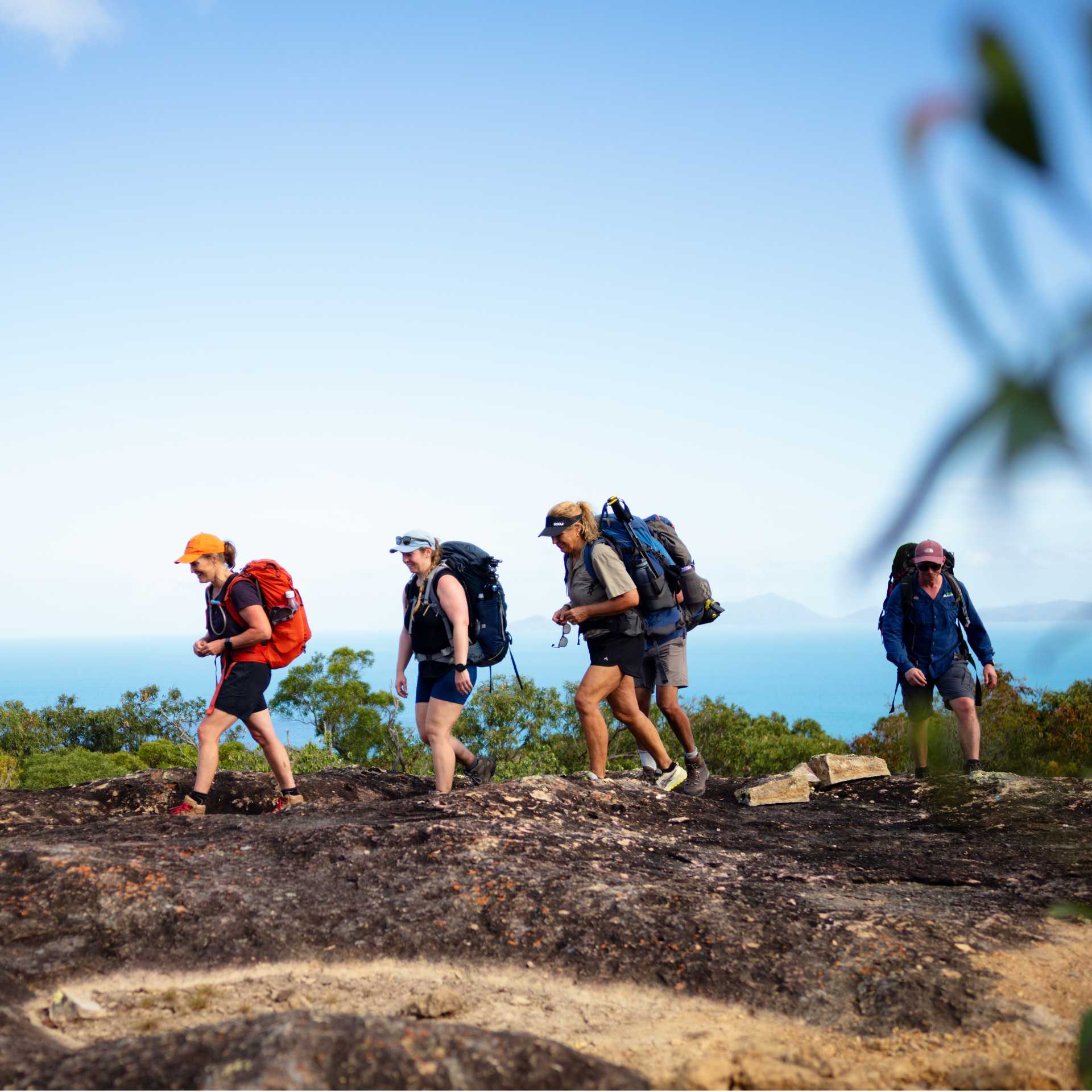 Ngaro Track Full Pack Guided Hike