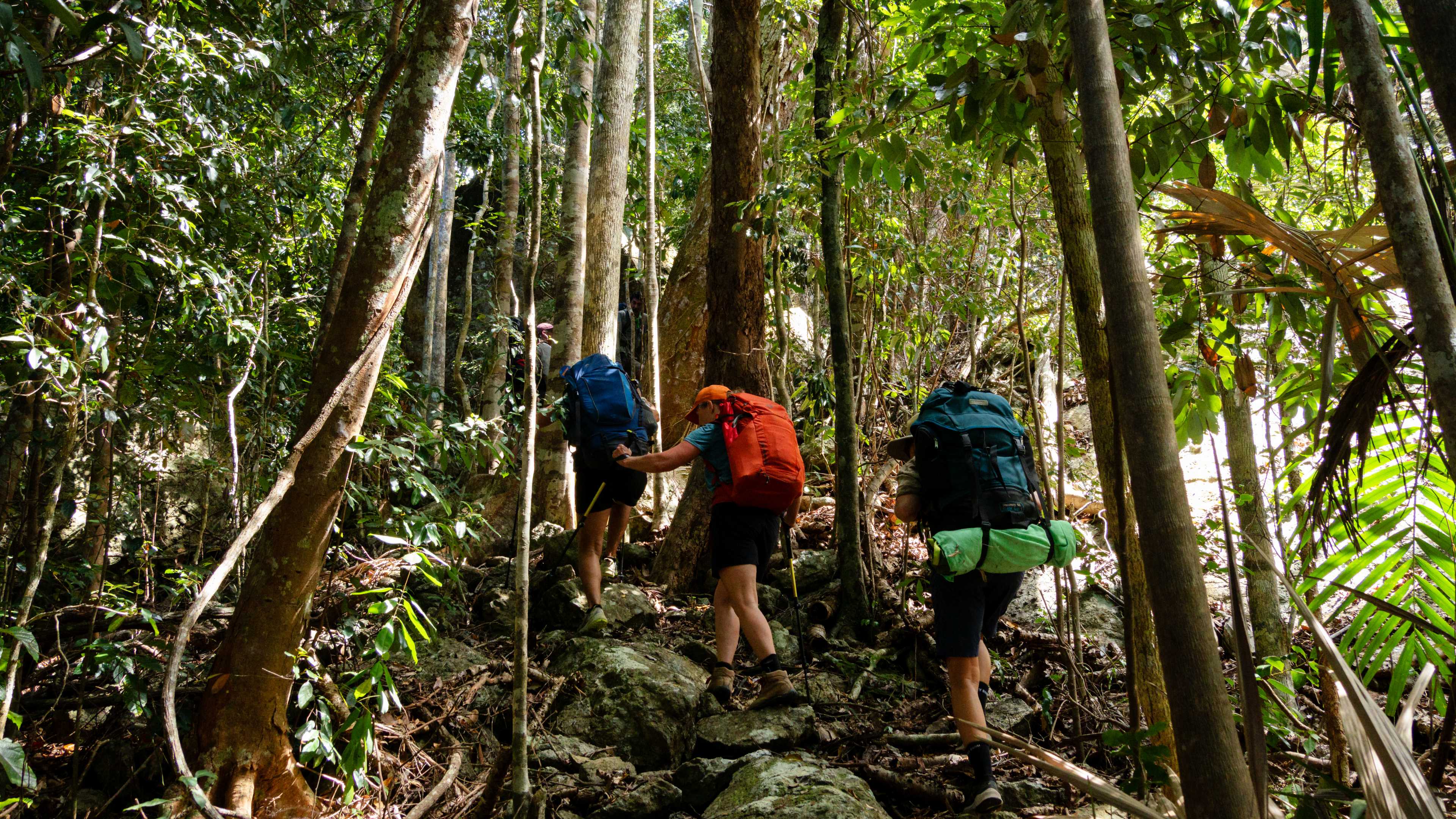 Ngaro Track Full Pack Guided Hike