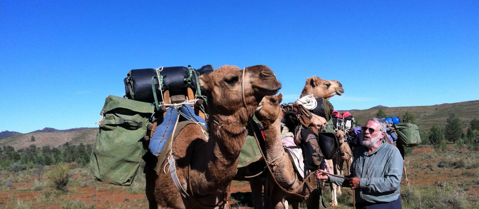 Remote Northern Flinders Ranges Camel Trek | South Australia Adventure ...