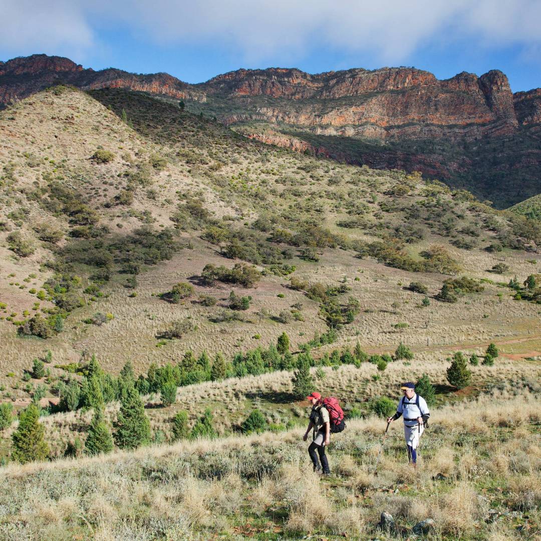 Arkaba Walk - 4 day Walking Trip | South Australia Hiking Tours