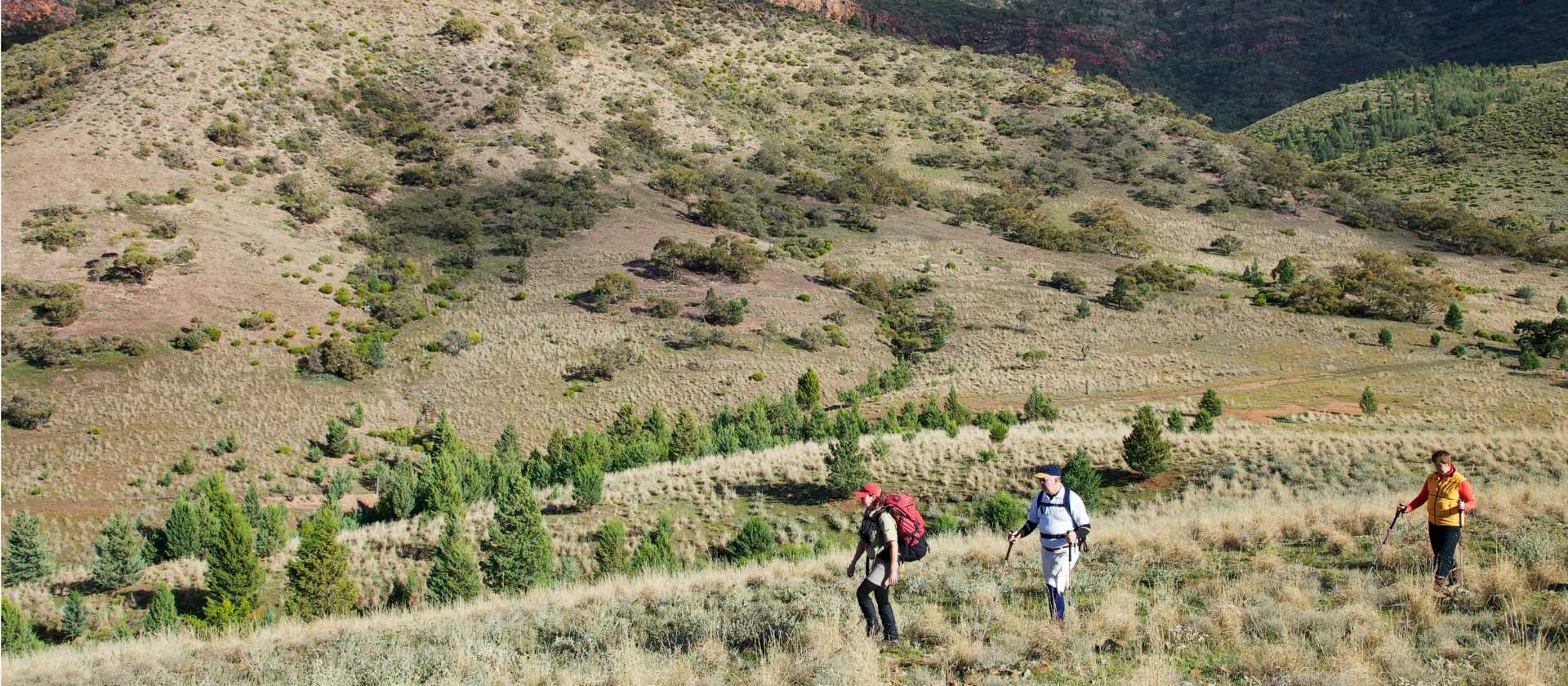 Arkaba Walk - 4 day Walking Trip | South Australia Hiking Tours